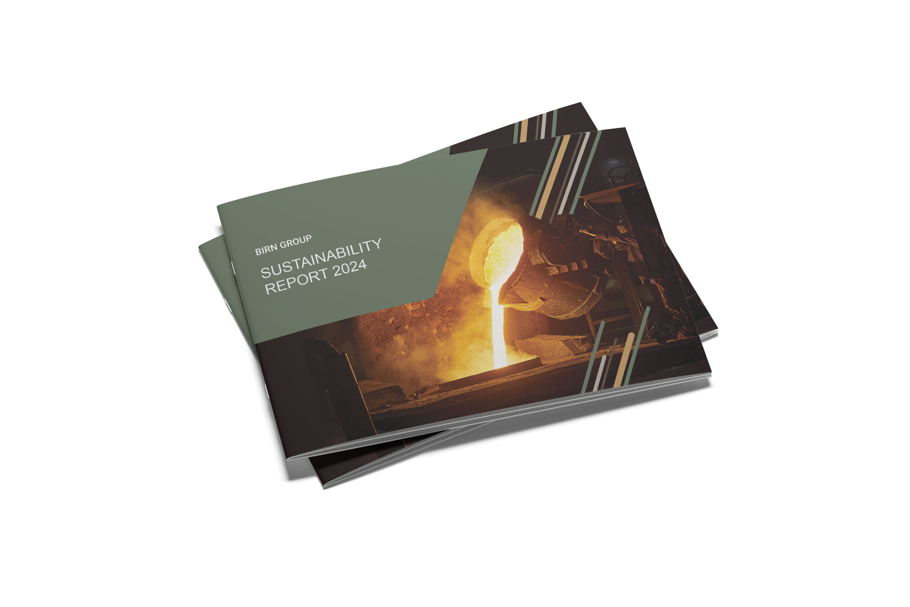 BIRN Group veröffentlicht Nachhaltigkeitsbericht 2024